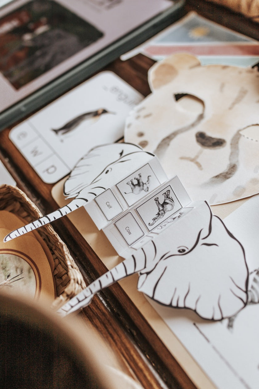 Zoology Patchwork Study – Harbor and Sprout