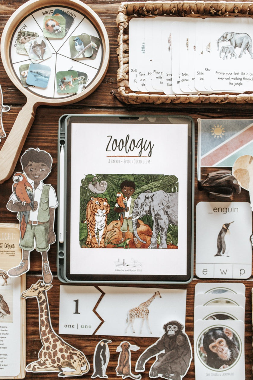 Zoology Patchwork Study – Harbor and Sprout