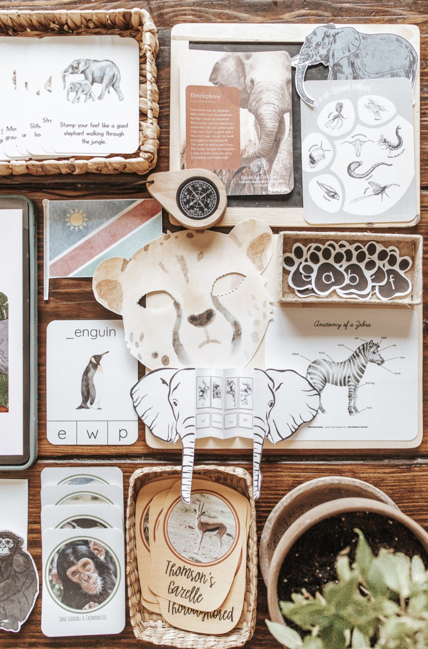 Zoology Patchwork Study – Harbor and Sprout