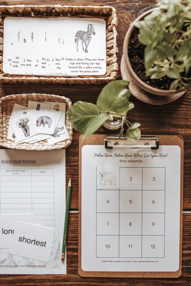 Zoology Patchwork Study – Harbor and Sprout