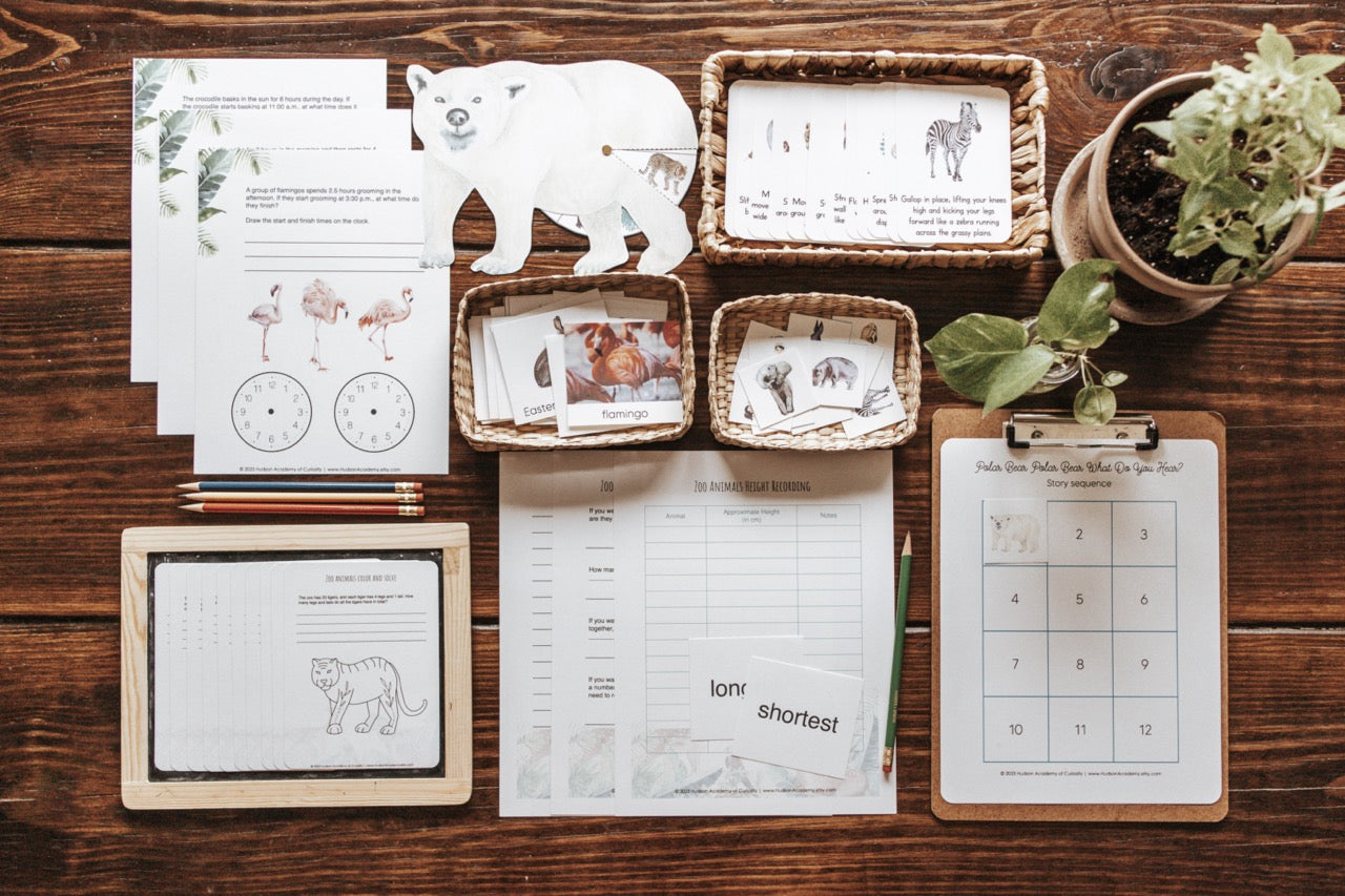 Zoology Patchwork Study – Harbor and Sprout