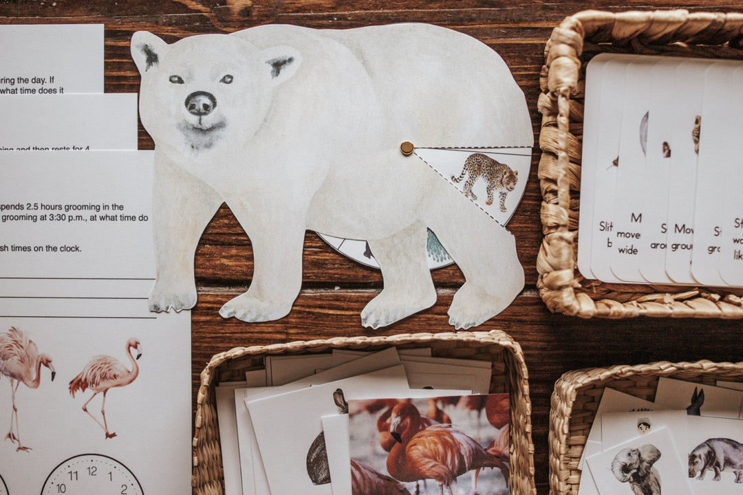 Zoology Patchwork Study – Harbor and Sprout