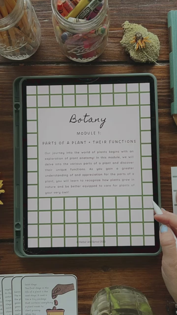 Botany Primary Level Unit Study – Harbor and Sprout