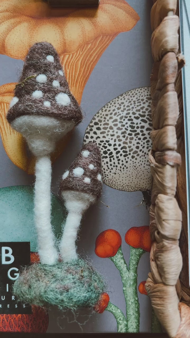 Fungi Flash Cards – Harbor and Sprout