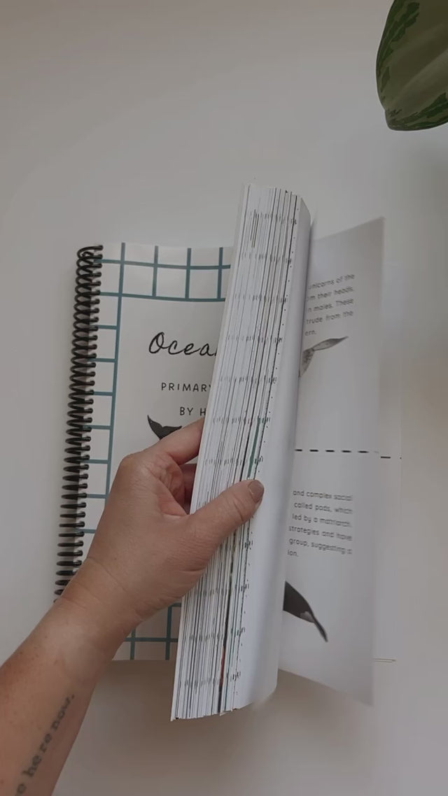 DIGITAL Oceanography Primary Level Unit Study – Harbor and Sprout