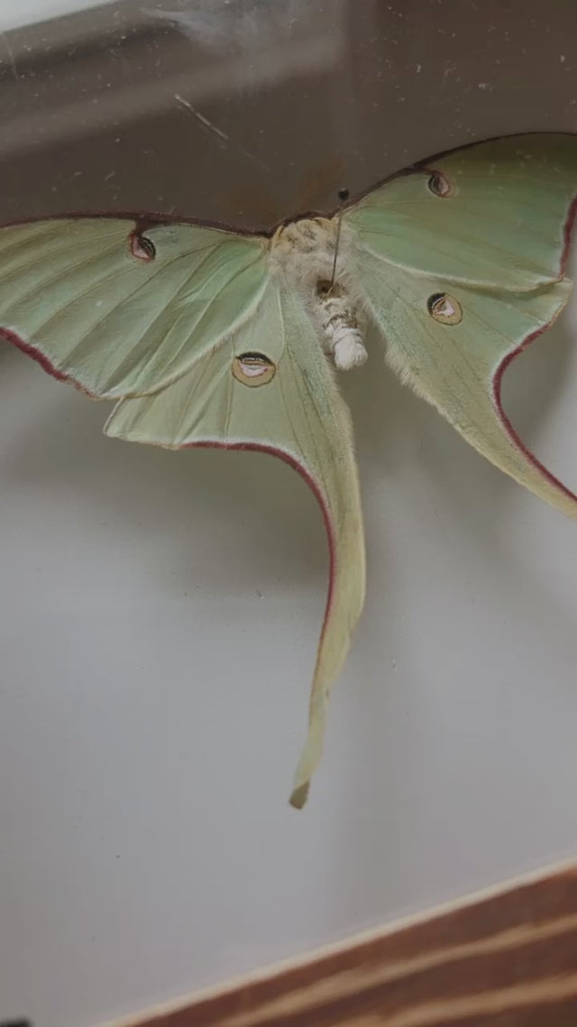 FREE 30 Day Nature Discovery Challenge – Harbor and Sprout