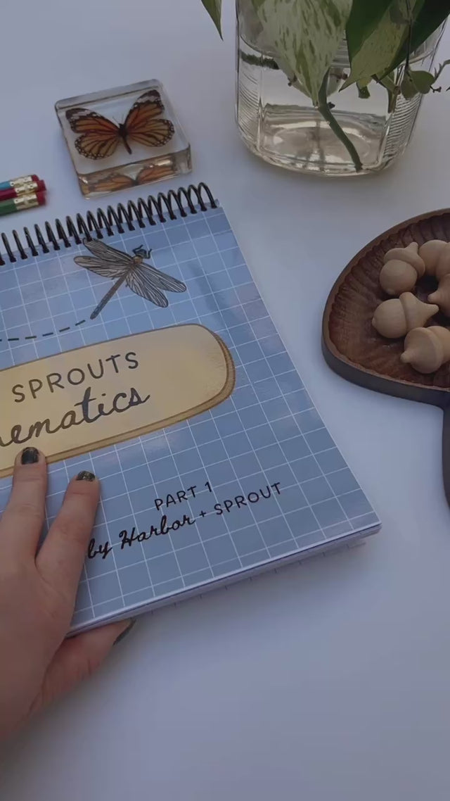 PRINT Little Sprouts PreK Mathematics – Harbor and Sprout