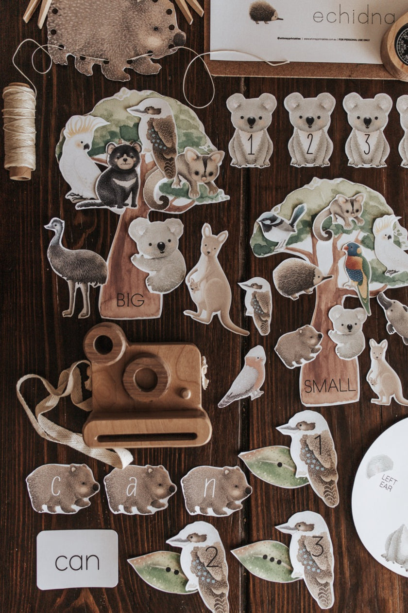 Australian Animals and Flora Morning Basket – Harbor and Sprout