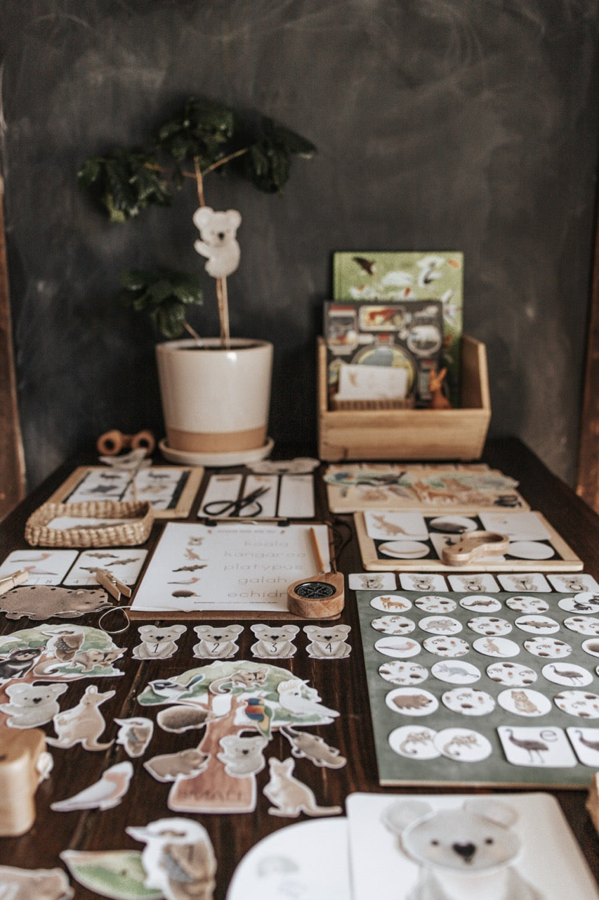 Australian Animals and Flora Morning Basket – Harbor and Sprout