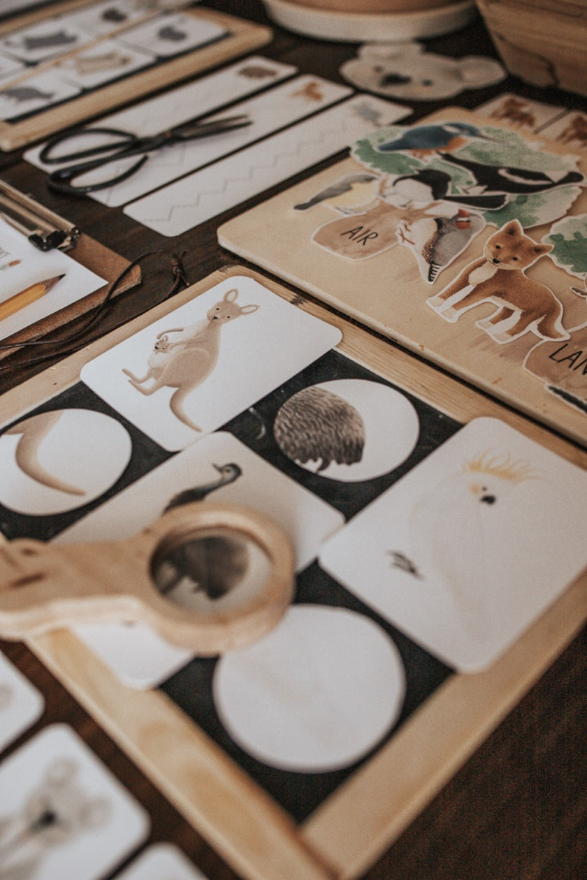 Australian Animals and Flora Morning Basket – Harbor and Sprout