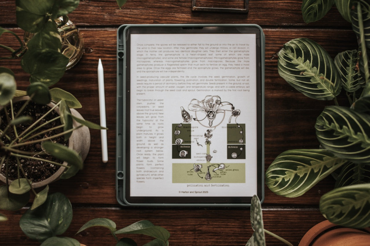 DIGITAL Botany Secondary Level Unit Study – Harbor and Sprout