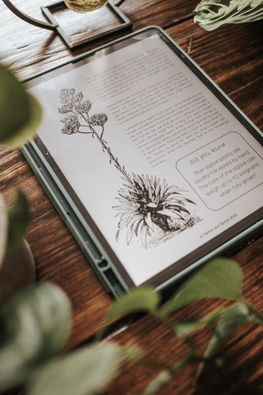 DIGITAL Botany Secondary Level Unit Study – Harbor and Sprout