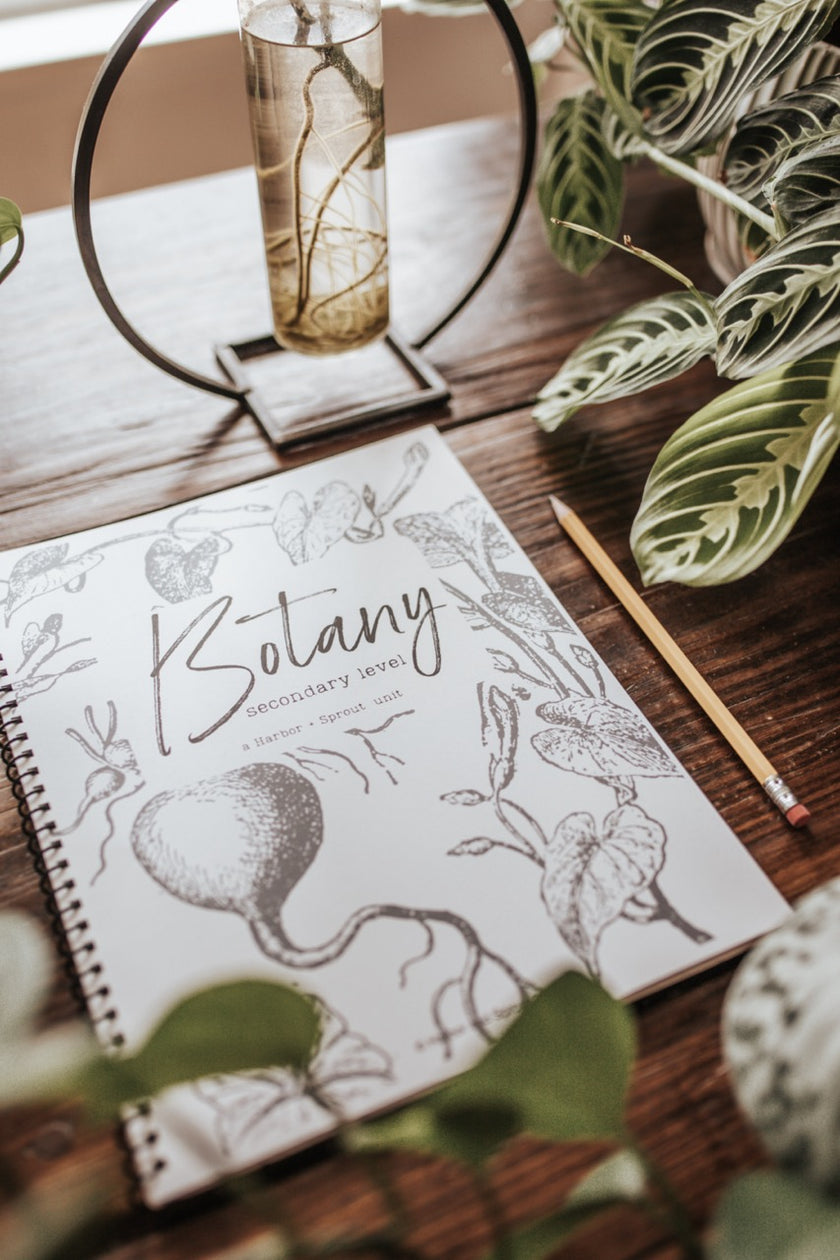 DIGITAL Botany Secondary Level Unit Study – Harbor and Sprout