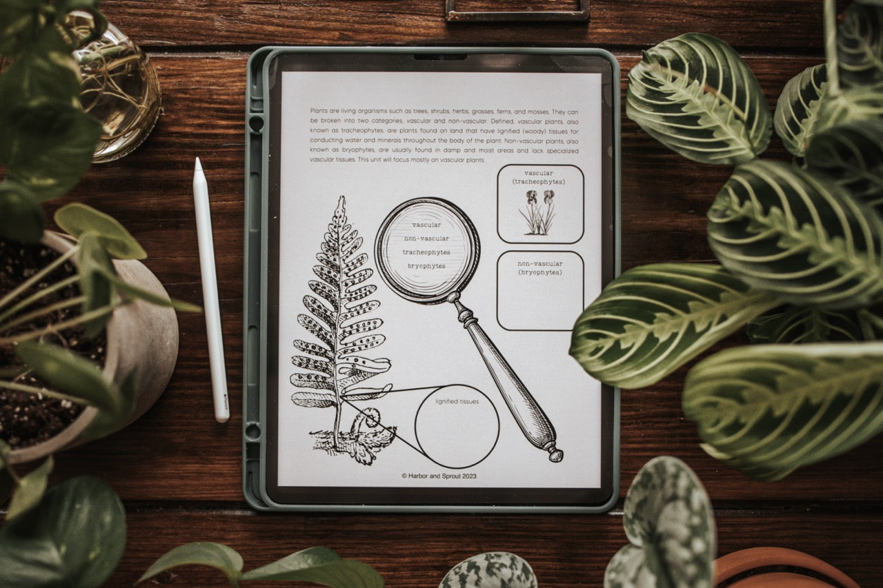 DIGITAL Botany Secondary Level Unit Study – Harbor and Sprout