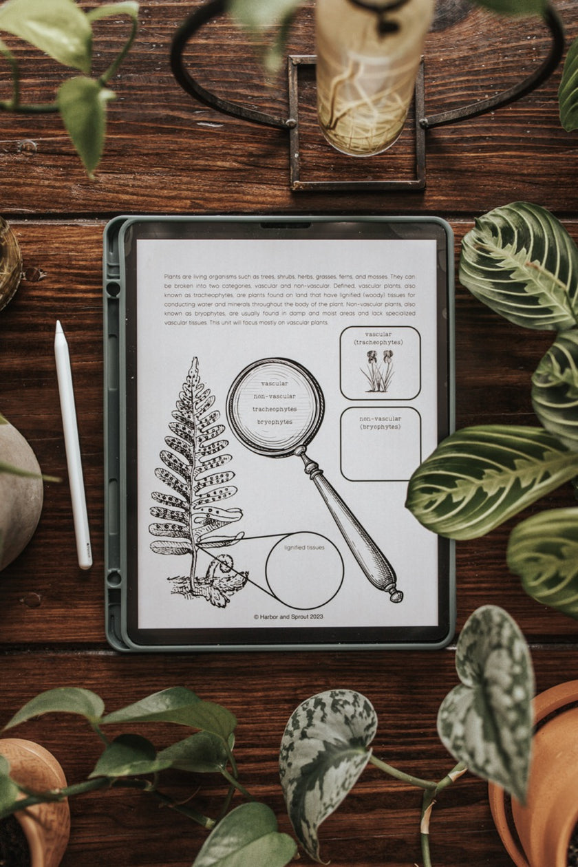 DIGITAL Botany Secondary Level Unit Study – Harbor and Sprout