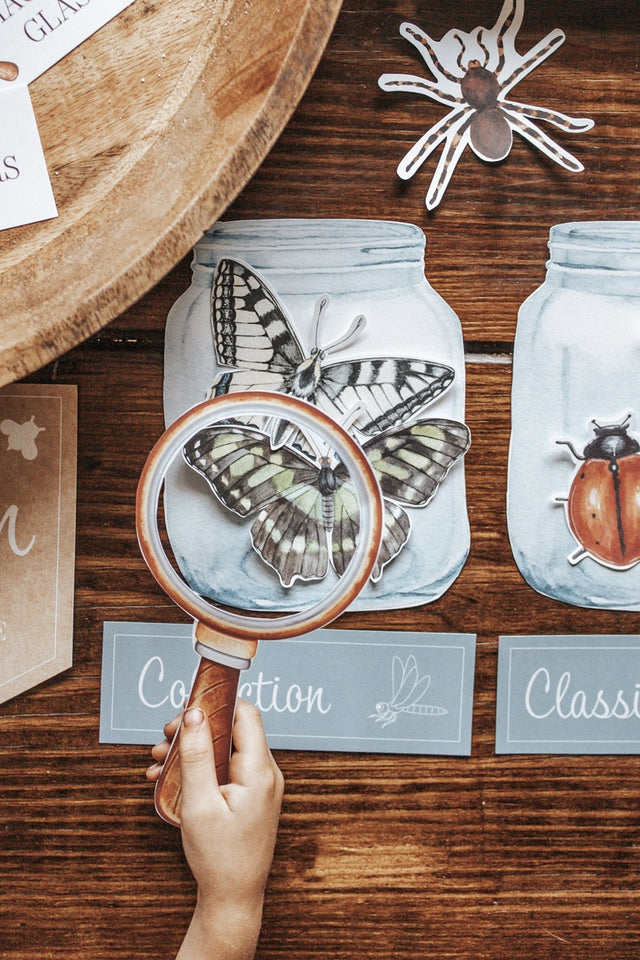 Entomology Lab Dramatic Play Set – Harbor and Sprout