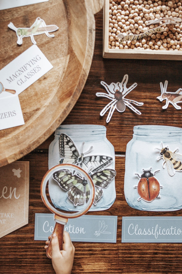 Entomology Lab Dramatic Play Set – Harbor and Sprout