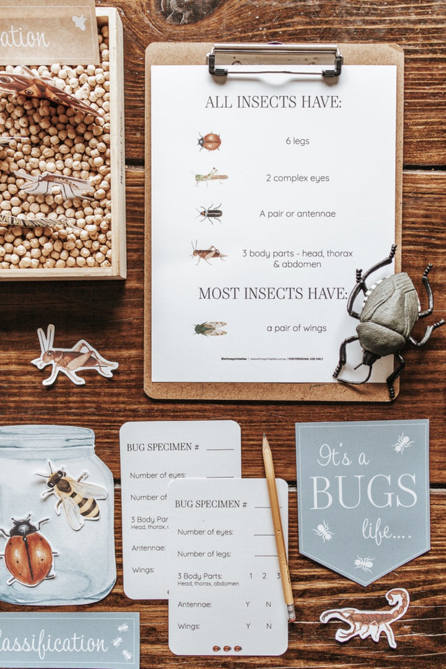 Entomology Lab Dramatic Play Set – Harbor and Sprout