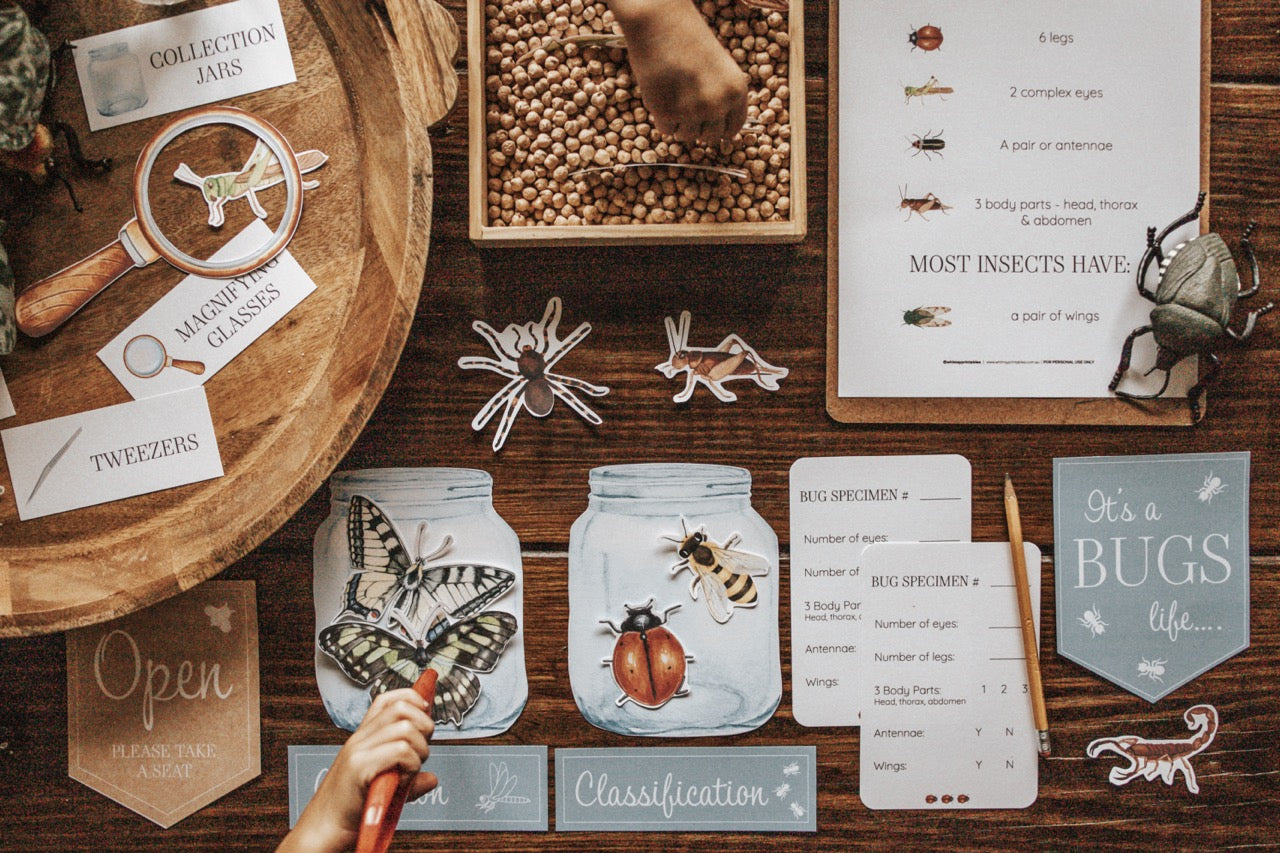 Entomology Lab Dramatic Play Set – Harbor and Sprout