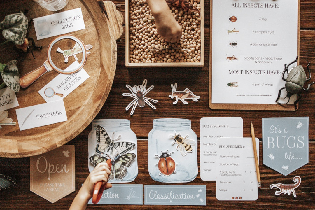 Entomology Lab Dramatic Play Set – Harbor and Sprout