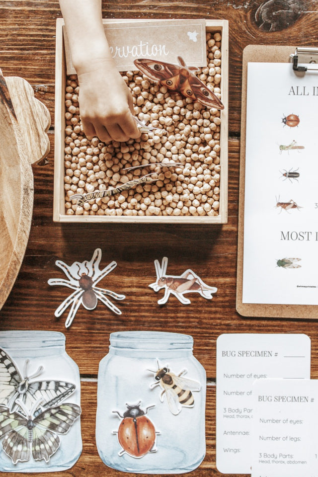 Entomology Lab Dramatic Play Set – Harbor and Sprout