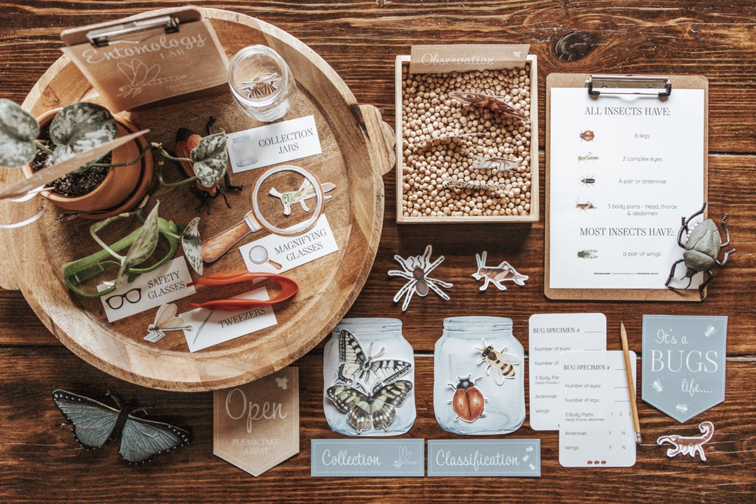 Dramatic Play – Harbor and Sprout