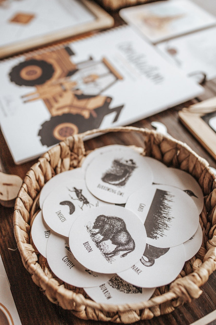 Construction Patchwork Study – Harbor and Sprout