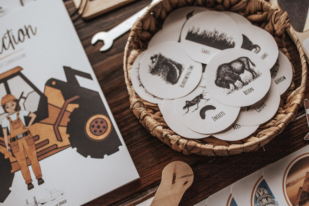 Construction Patchwork Study – Harbor and Sprout