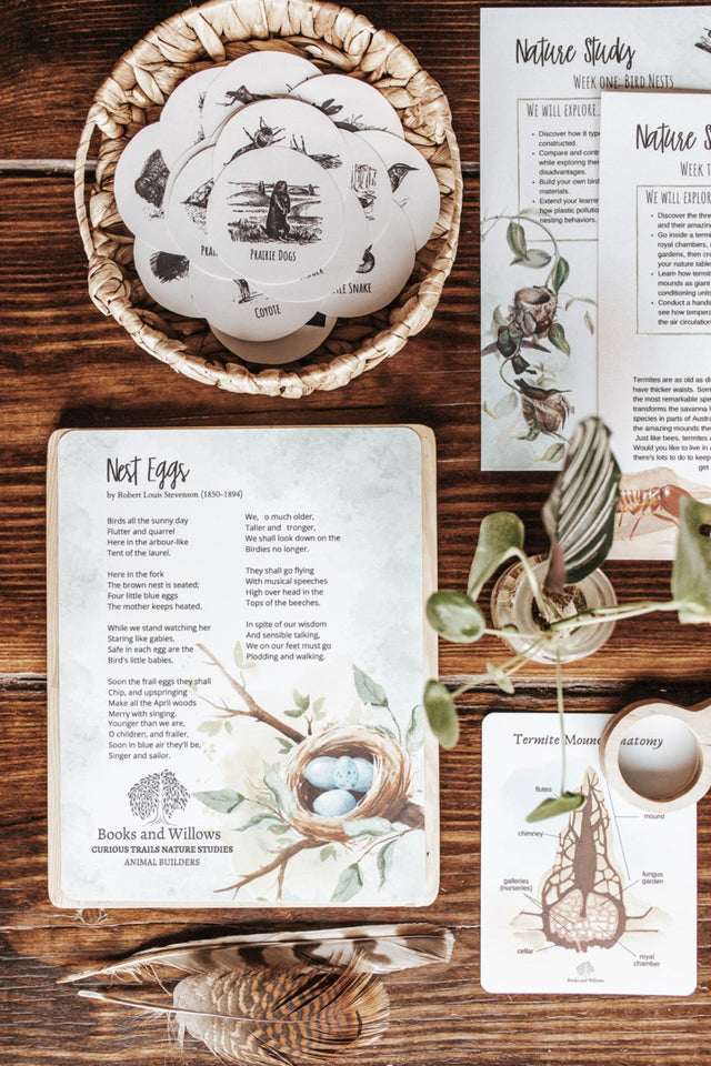 Construction Patchwork Study – Harbor and Sprout