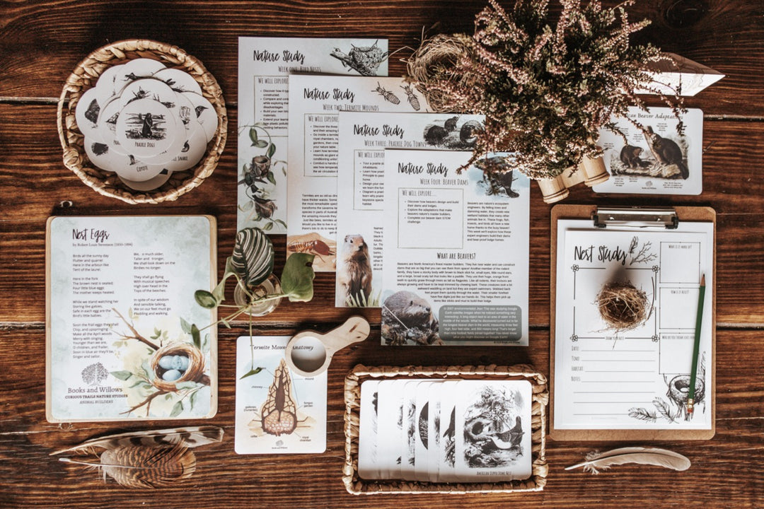 Construction Patchwork Study – Harbor and Sprout