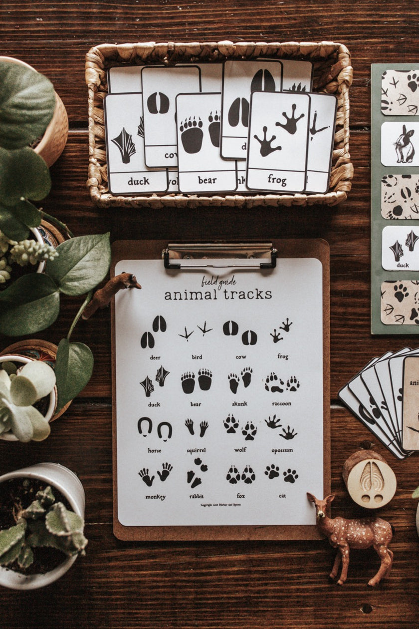 Animal Tracks Pack – Harbor and Sprout