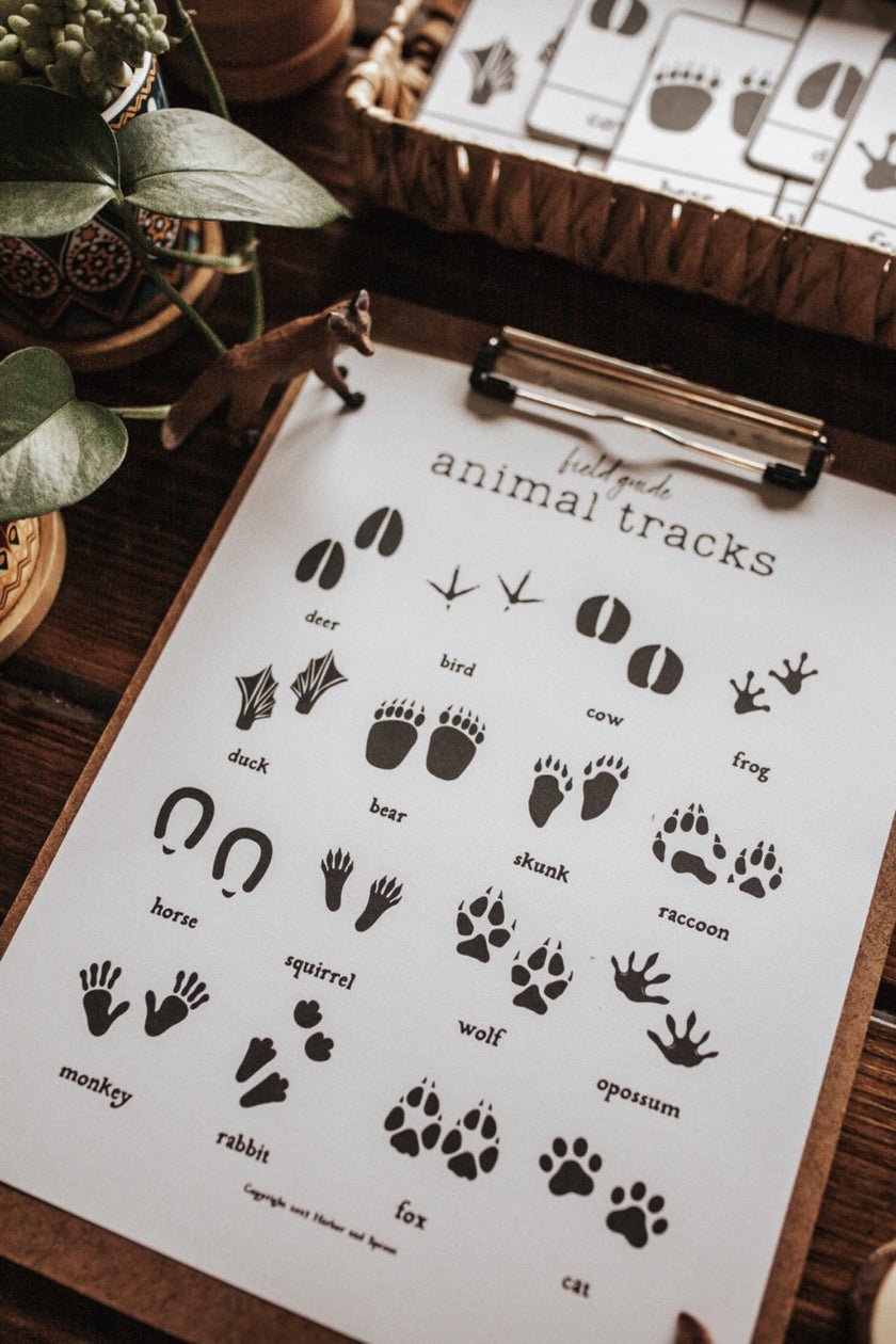 Animal Tracks Pack – Harbor and Sprout