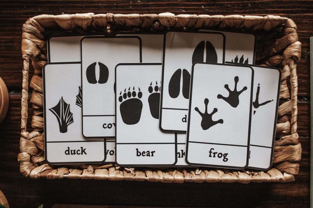 Animal Tracks Pack – Harbor and Sprout