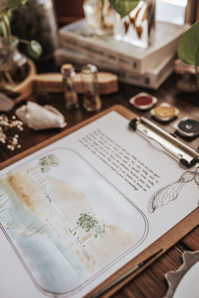 Curio Nature Society Field Guide Issue 1- SENSES – Harbor and Sprout