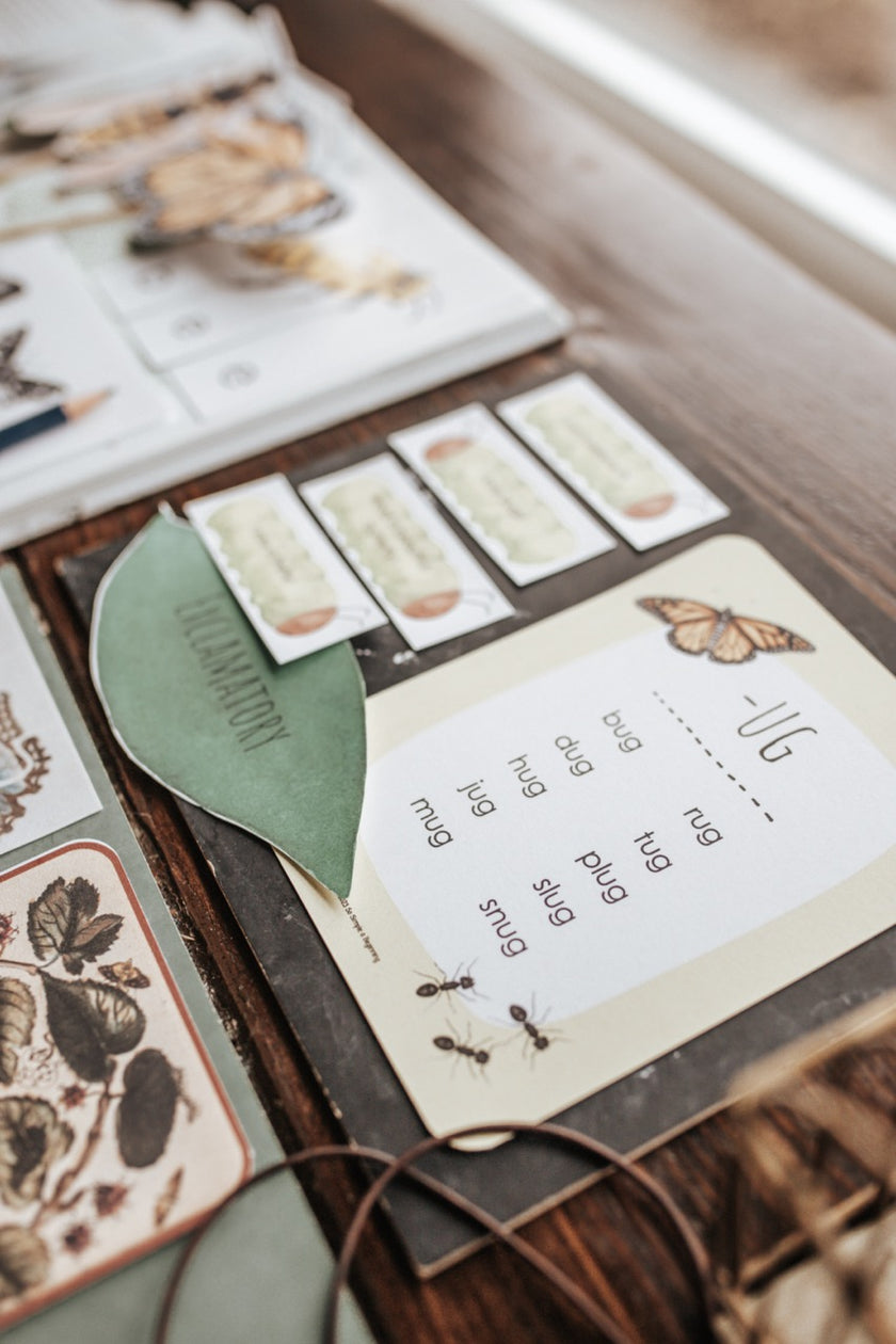 Entomology Patchwork Study – Harbor and Sprout