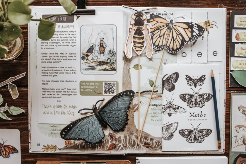Entomology Patchwork Study – Harbor and Sprout