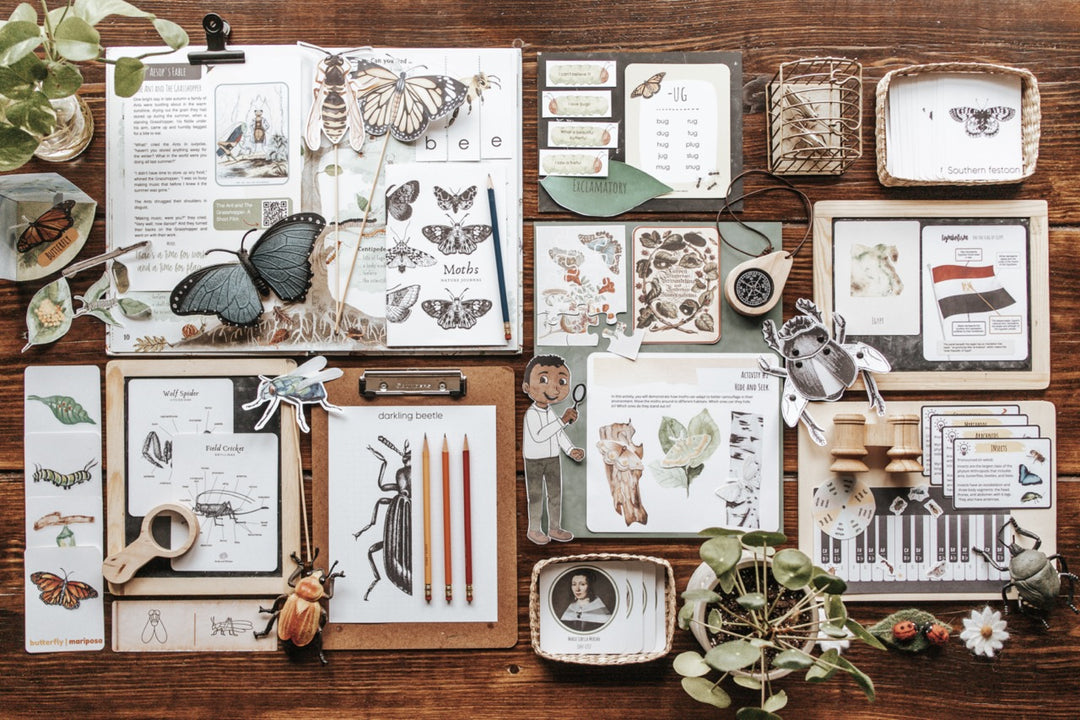 Entomology Patchwork Study – Harbor and Sprout