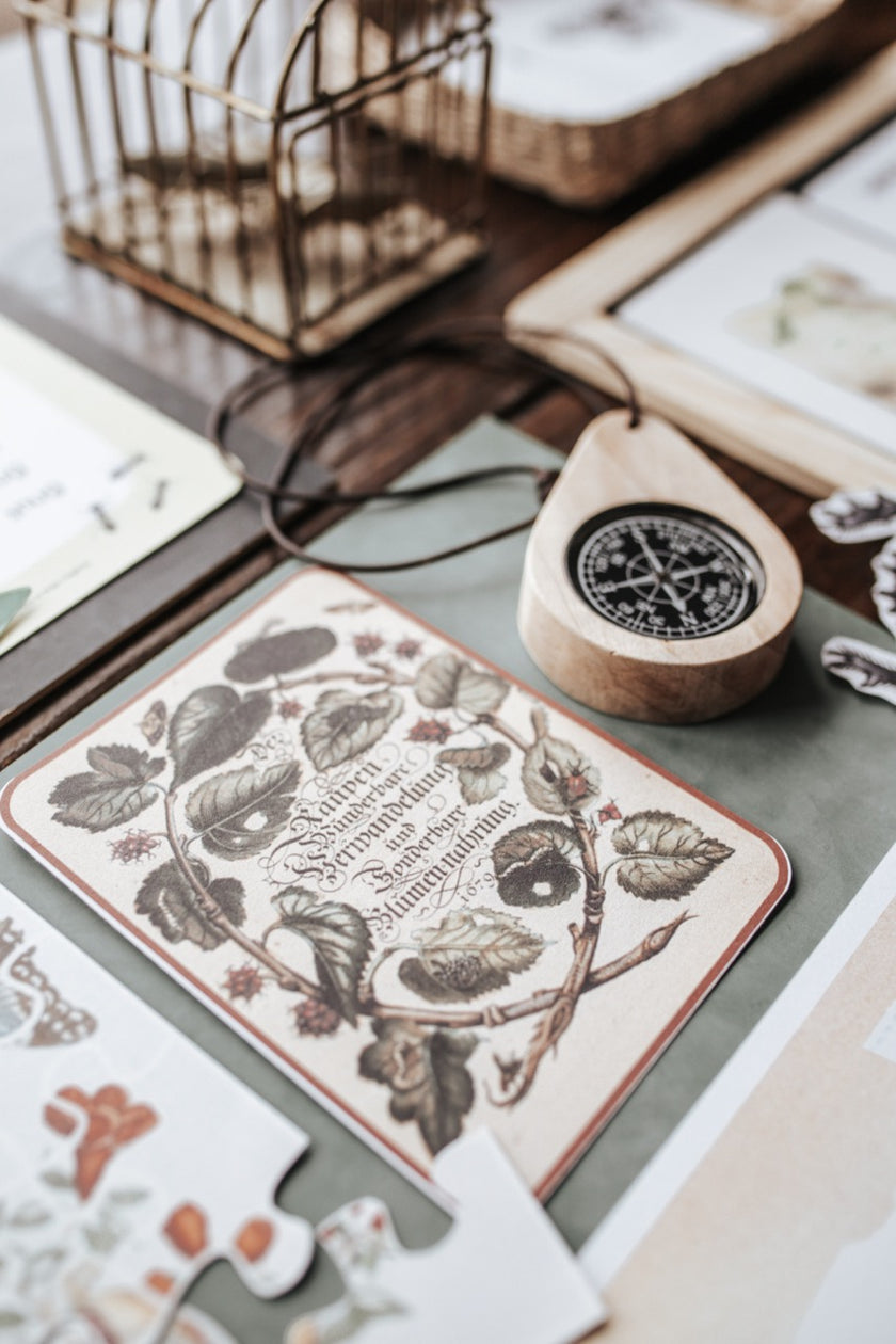 Entomology Patchwork Study – Harbor and Sprout