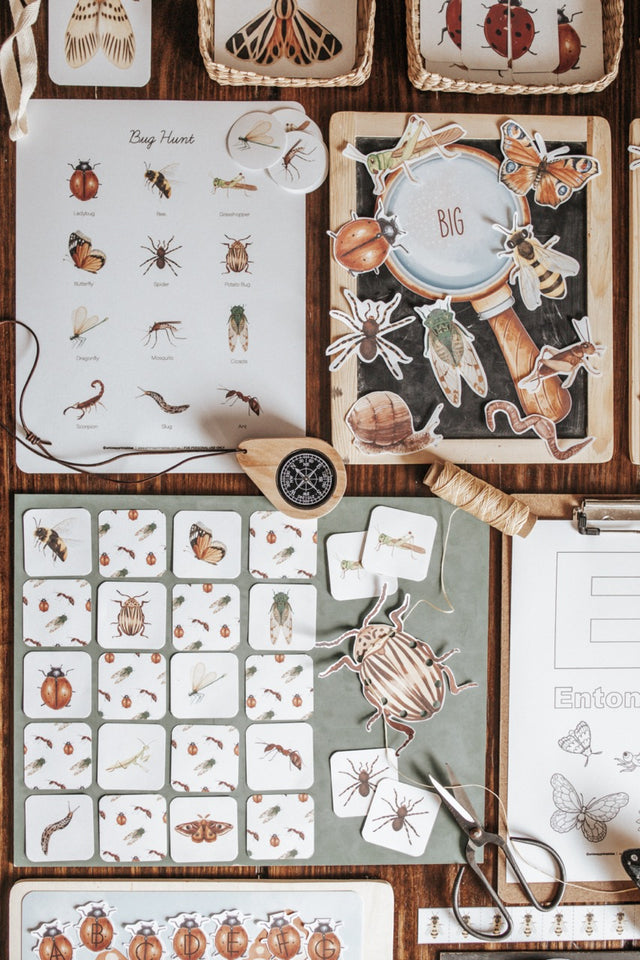 Entomology Morning Basket – Harbor and Sprout