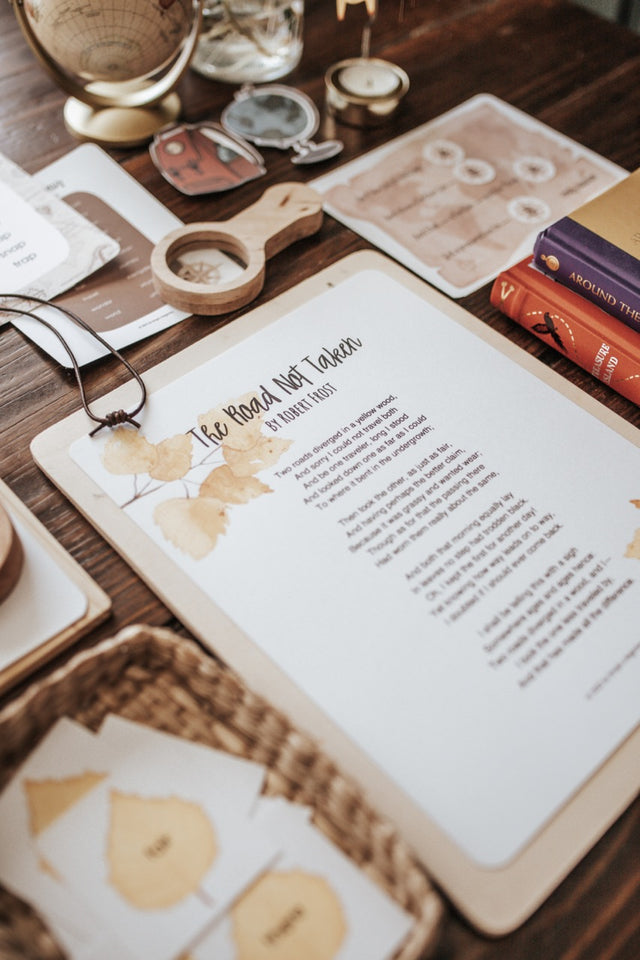 Exploration Patchwork Study – Harbor and Sprout