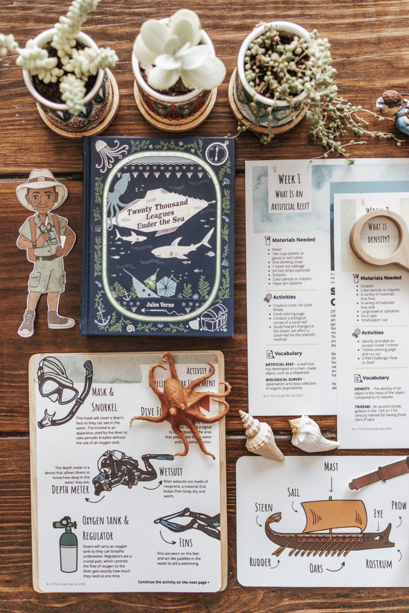 Exploration Patchwork Study – Harbor and Sprout