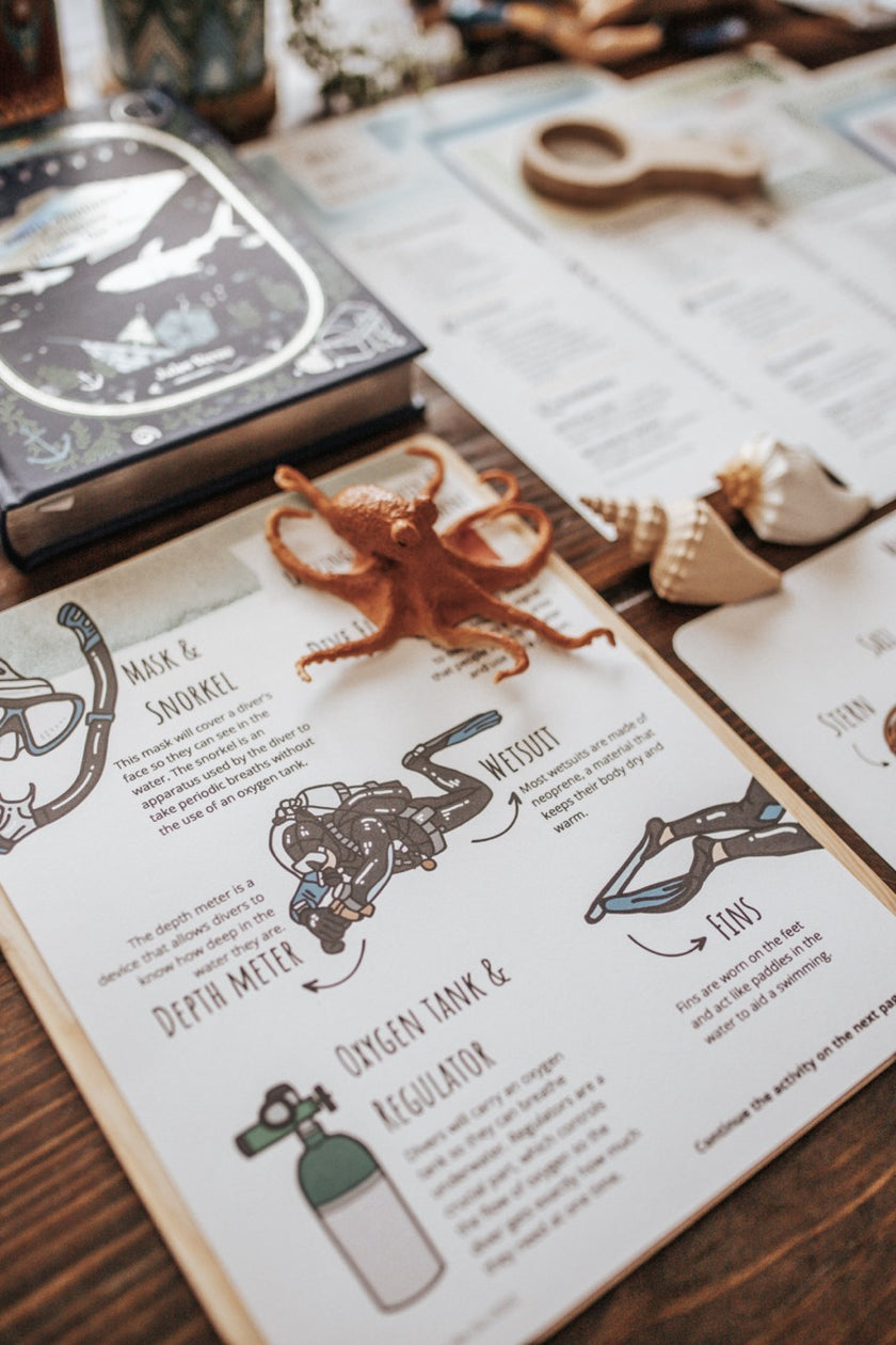 Exploration Patchwork Study – Harbor and Sprout