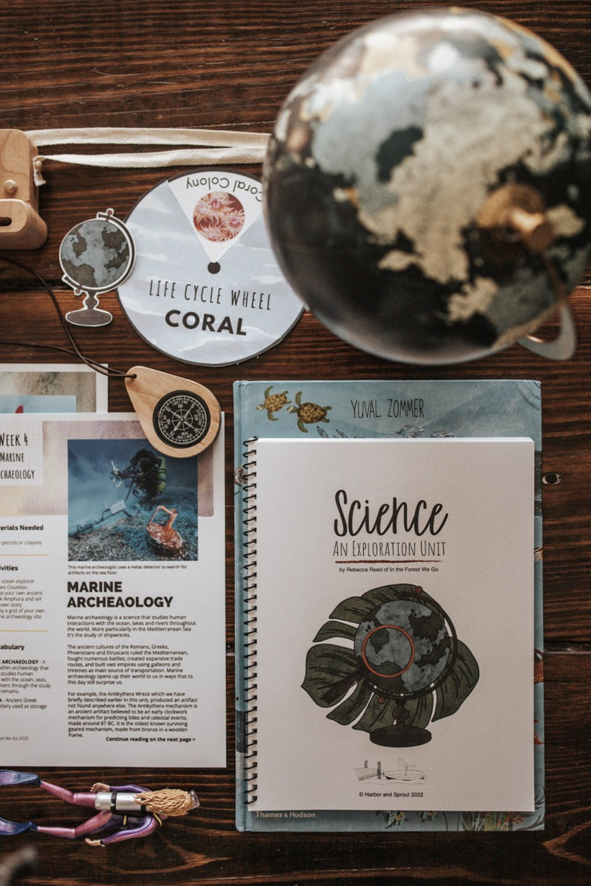 Exploration Patchwork Study – Harbor and Sprout