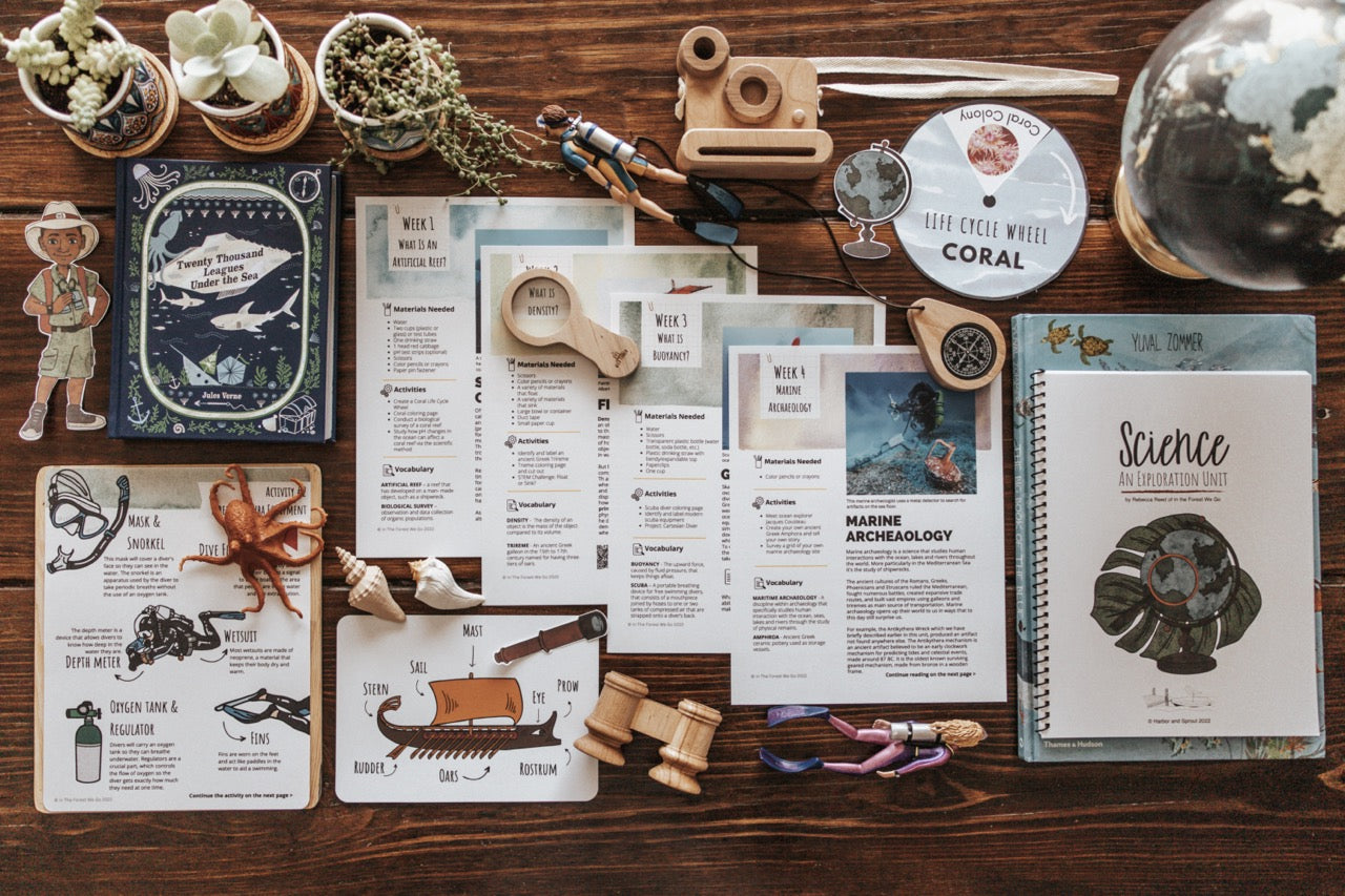 Exploration Patchwork Study – Harbor and Sprout