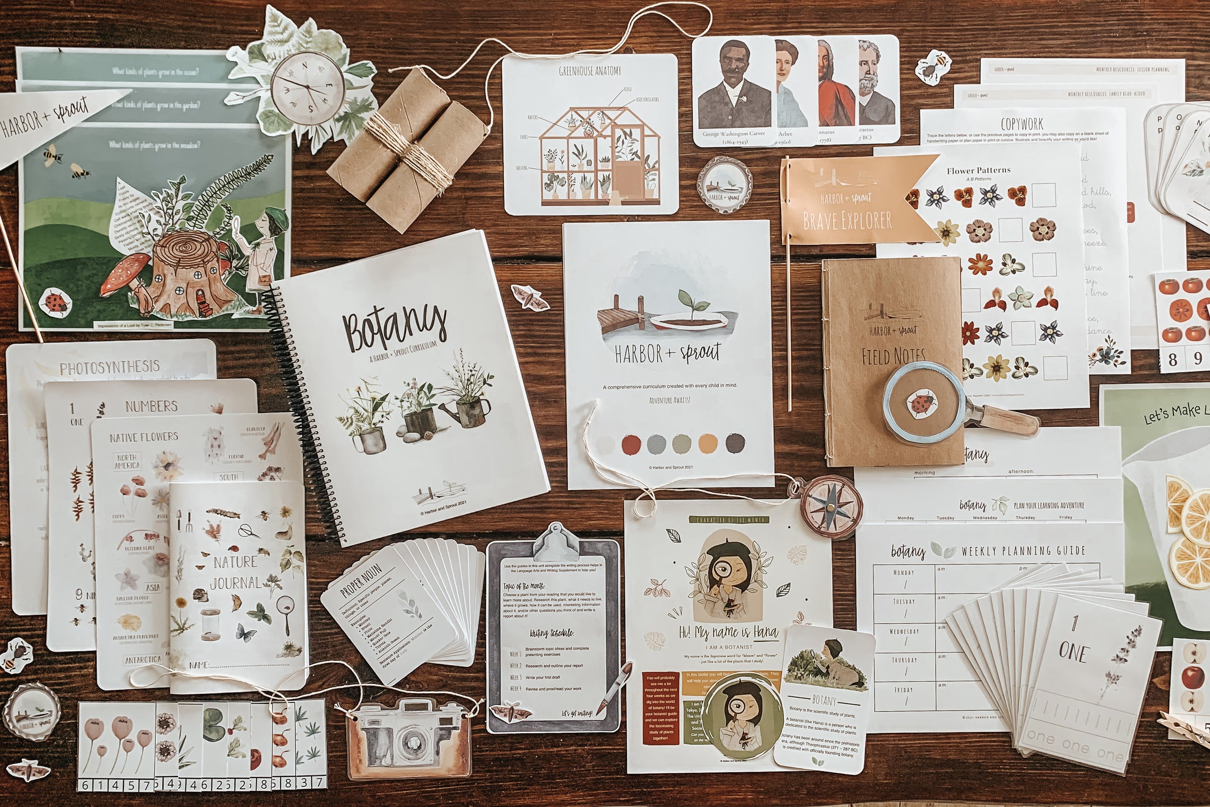 Botany Elementary Unit Study – Harbor and Sprout
