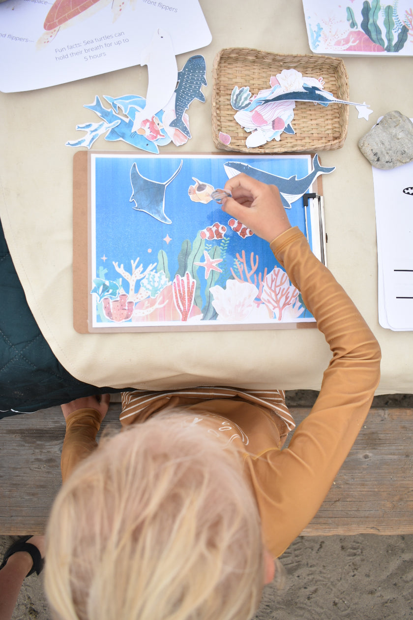 Discover the Ocean Activity Pack – Harbor and Sprout