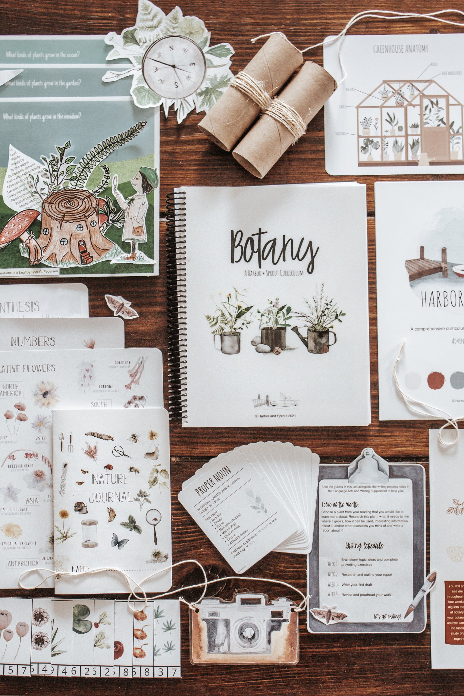 Botany Elementary Unit Study – Harbor and Sprout