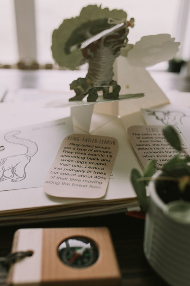 Madagascar Mini Unit – Harbor and Sprout