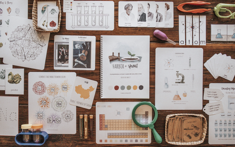 Patchwork Studies – Harbor and Sprout