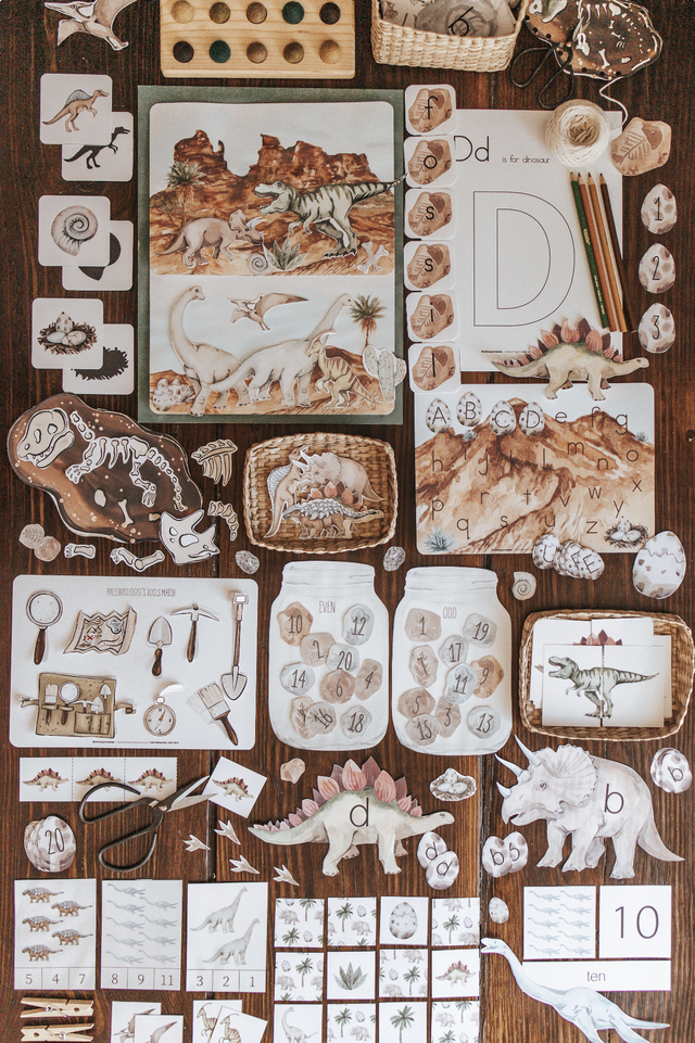 Paleontology Morning Basket Harbor And Sprout